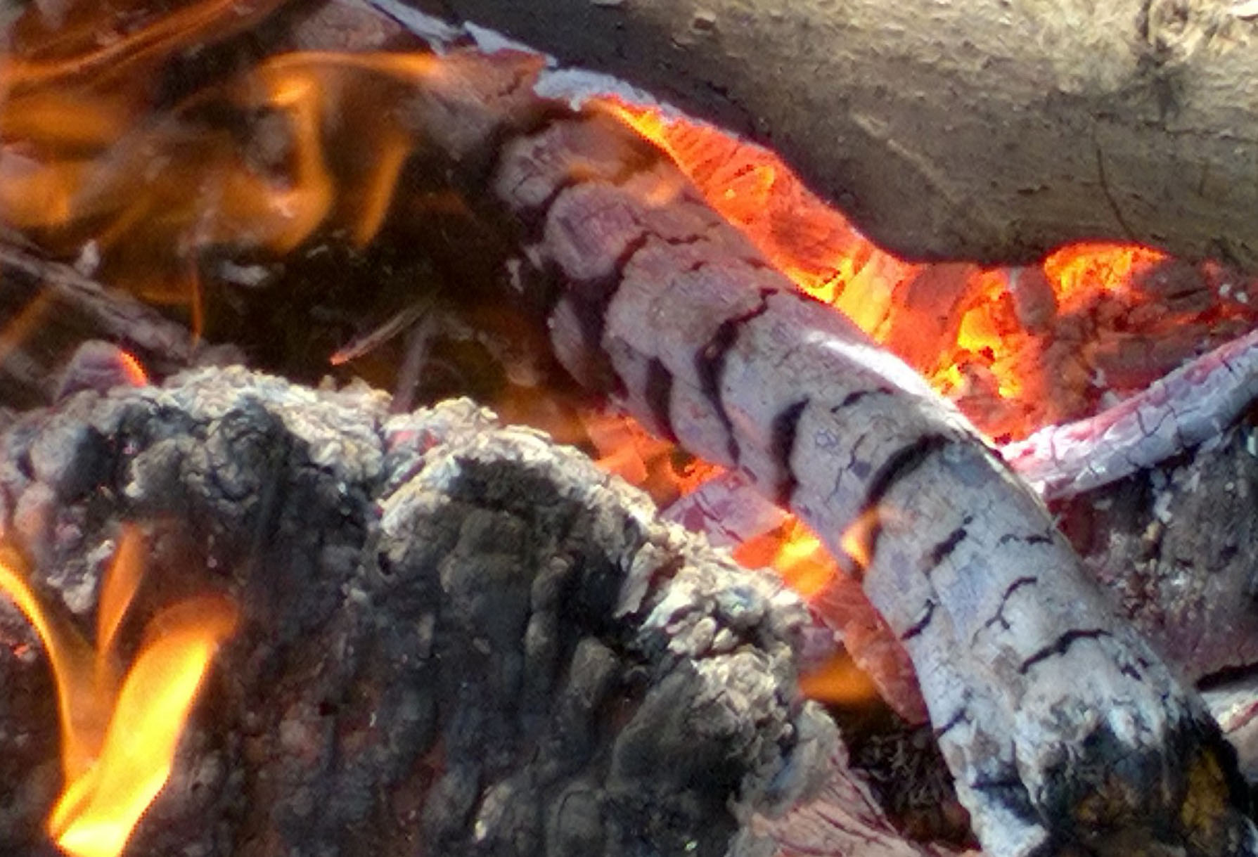 Verbrannt! - Inga Grünwald